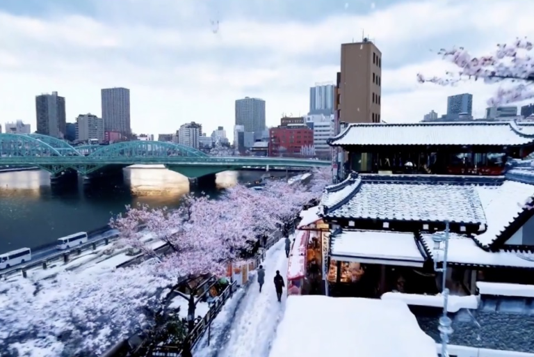 ASCII.jp：控え目に言って革命。OpenAI、動画生成AIモデル「Sora」発表 - BizAIdea